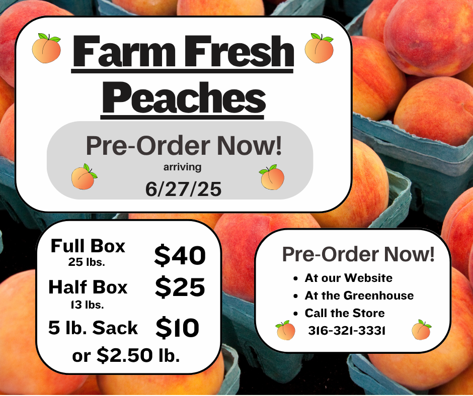 Pre-Order Fresh Fruit – Prairie Blossom Nursery