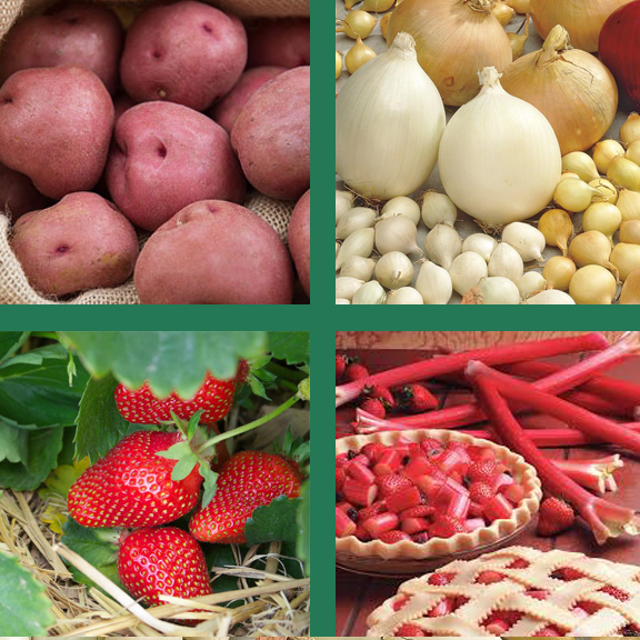 Early Spring Fruit & Vegetables – Prairie Blossom Nursery