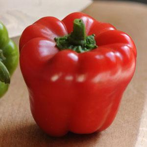 Red Beauty Sweet Pepper (Heirloom) – Prairie Blossom Nursery