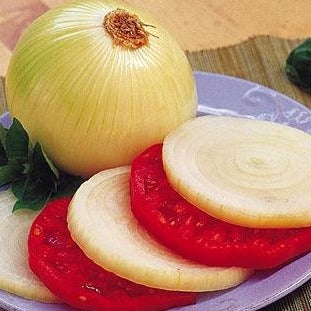 1015Y Texas Super Sweet Onion Set per bunch – Prairie Blossom Nursery