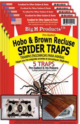 Brown Recluse & Indoor Spider Trap – Prairie Blossom Nursery