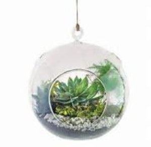 Syndicate_ FLOATING DIY ORB TERRARIUM KIT – Prairie Blossom Nursery