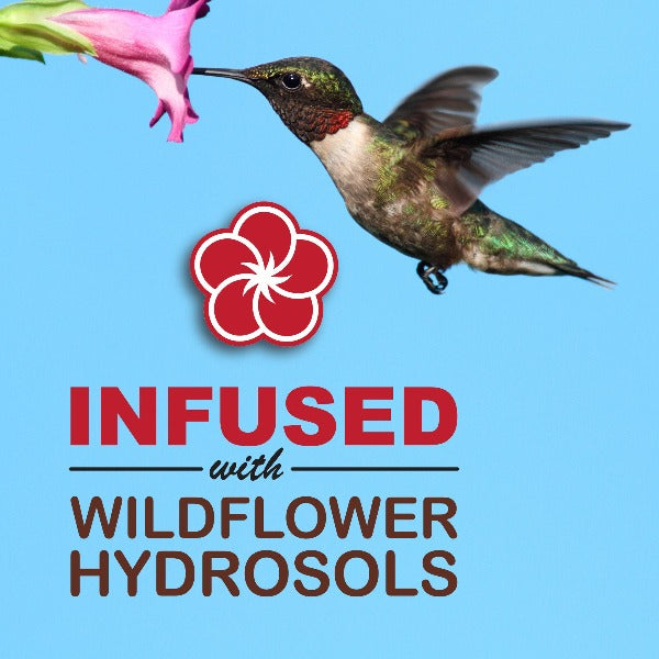 Sweet Nectar Hummingbird Nectar – Prairie Blossom Nursery